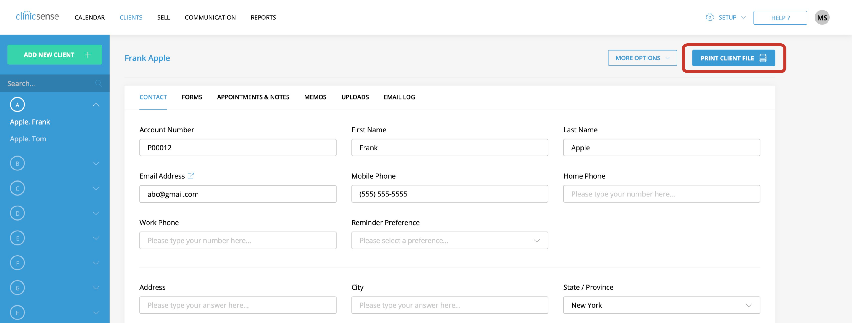 How to view and print a client file summary – ClinicSense